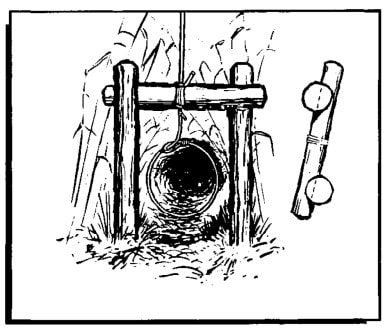 A Single Trap System - The Phillosoph Blog