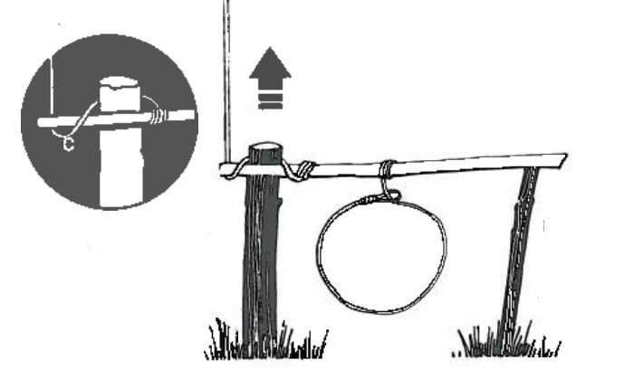 A Single Trap System - The Phillosoph Blog