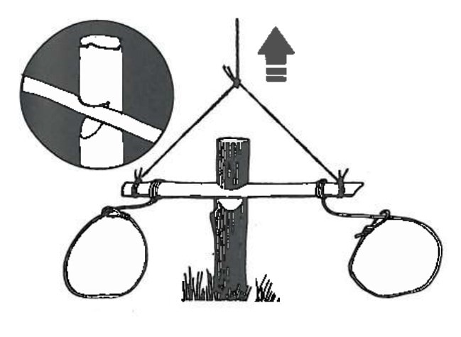 A Single Trap System - The Phillosoph Blog