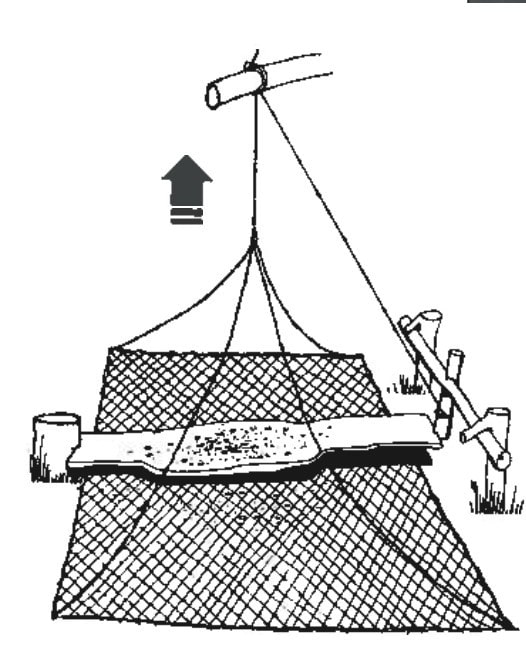 A Single Trap System - The Phillosoph Blog