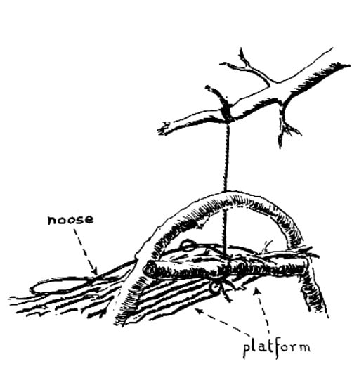 A Single Trap System - The Phillosoph Blog