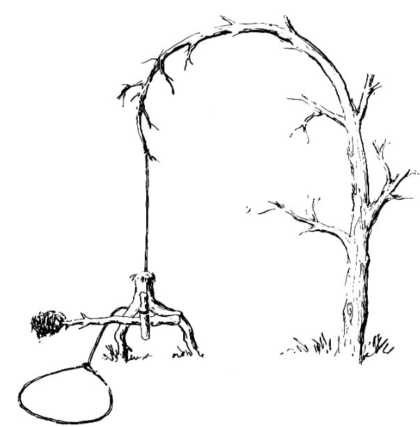A Single Trap System - The Phillosoph Blog