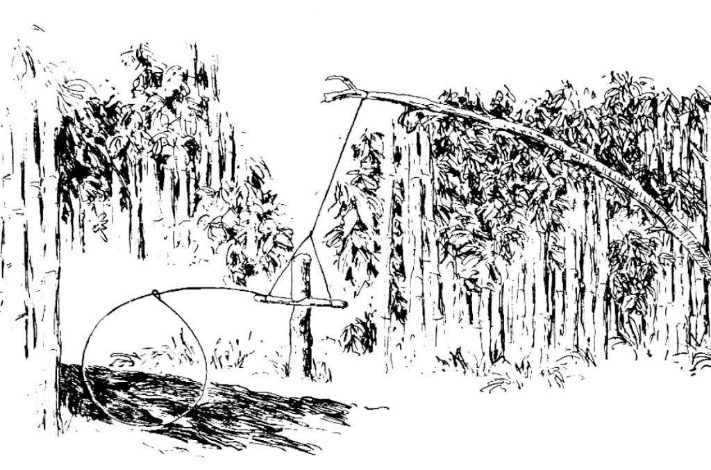 A Single Trap System - The Phillosoph Blog