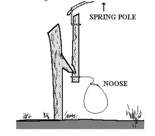 A Single Trap System - The Phillosoph Blog