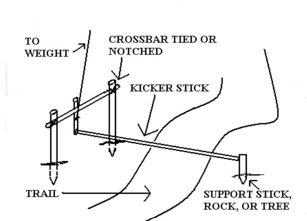 A Single Trap System - The Phillosoph Blog