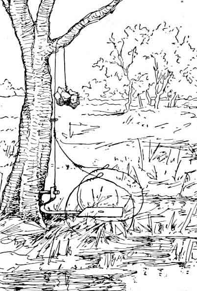 A Single Trap System - The Phillosoph Blog