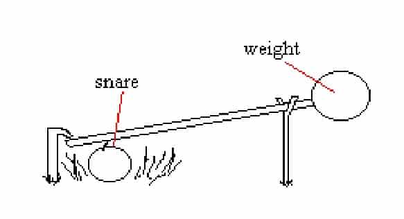 A Single Trap System - The Phillosoph Blog