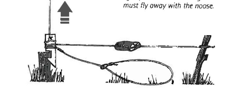 A Single Trap System - The Phillosoph Blog