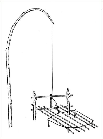 A Single Trap System - The Phillosoph Blog